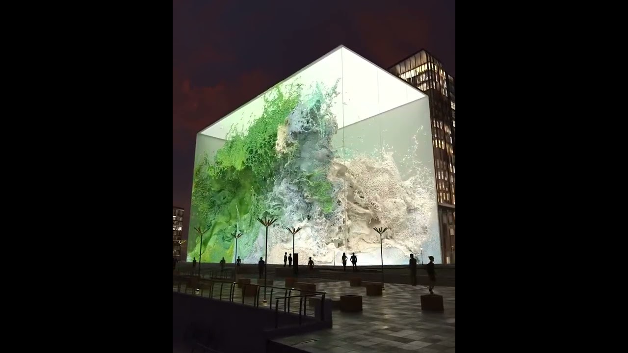 Nature based digital art installation by Jesse Woolston