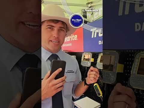 Explaining the Tru-Test 5000 weigh scale series