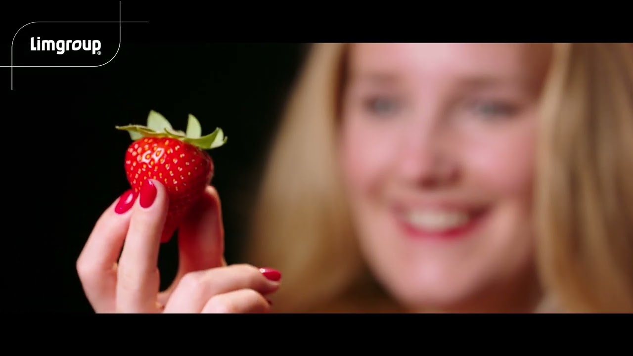 Limgroup F1 Hybrid Strawberries
