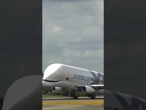 Airbus Beluga touch and go at London Luton Airport