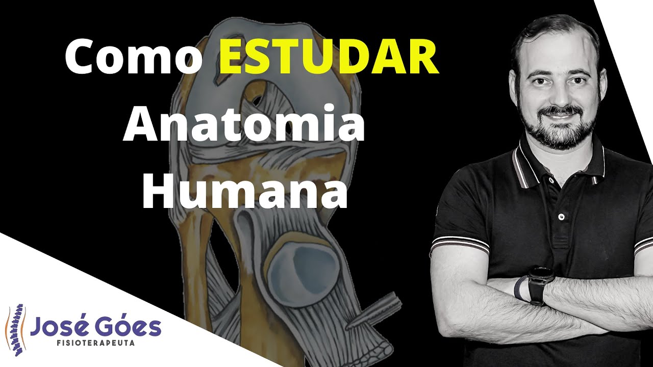 Aprenda Como Estudar ANATOMIA HUMANA de forma simples | José Góes