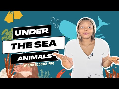 Under The Sea | Toddler Learning Video | Sea Animals | Colours, Numbers