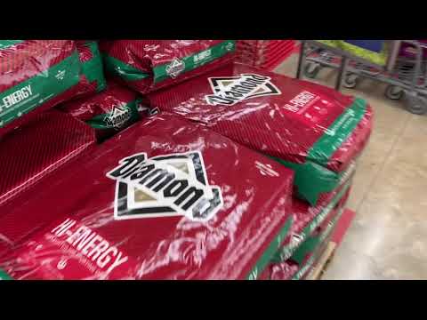 Dog Food Nutrition with a Ulysee Muff