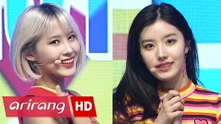 [심플리케이팝170505] 프리스틴 - WEE WOO - 인스티즈(instiz) 인티뮤직 (종료) 카테고리