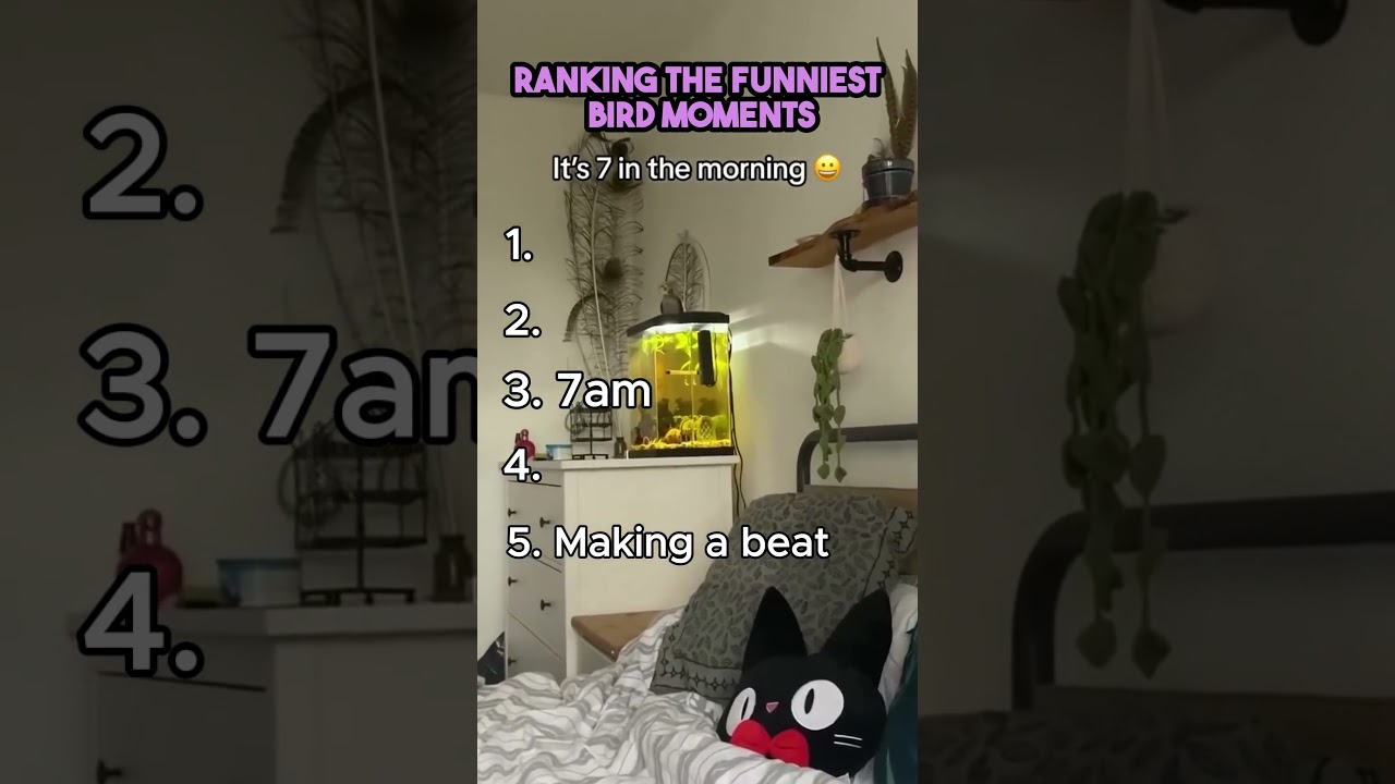 These Top 5 Bird Moments Will Make You Laugh So Hard!