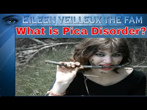 What is Pica Disorder? Eileen Veilleux The Fam