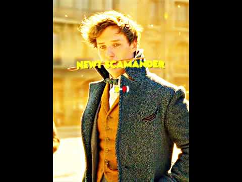Harry Potter vs Newt Scamander #harrypotter #vsedit #4k