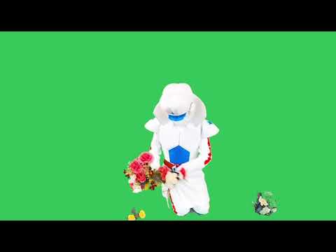 The tooth fairy loves flowers. Green screen