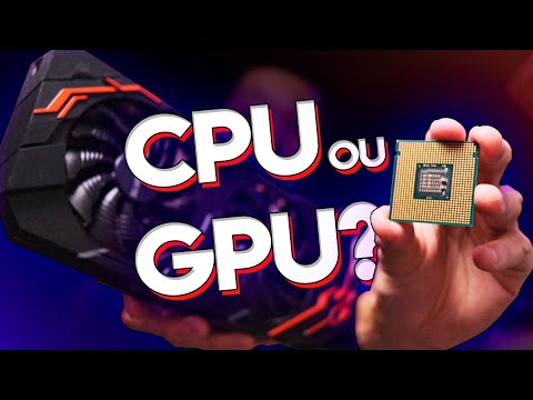 PROCESSOR or VIDEO CARD? Which is more important and what is the difference?
