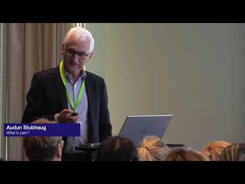 What is pain - Audun Stubhaug