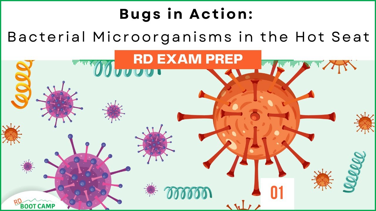 RD Exam prep: Bugs in Action: Bacterial Microorganisms in the Hot Seat