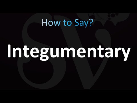 How to Pronounce Integumentary (correctly!)