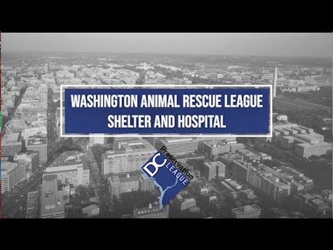 Washington Animal Rescue League Shelter and Hospital