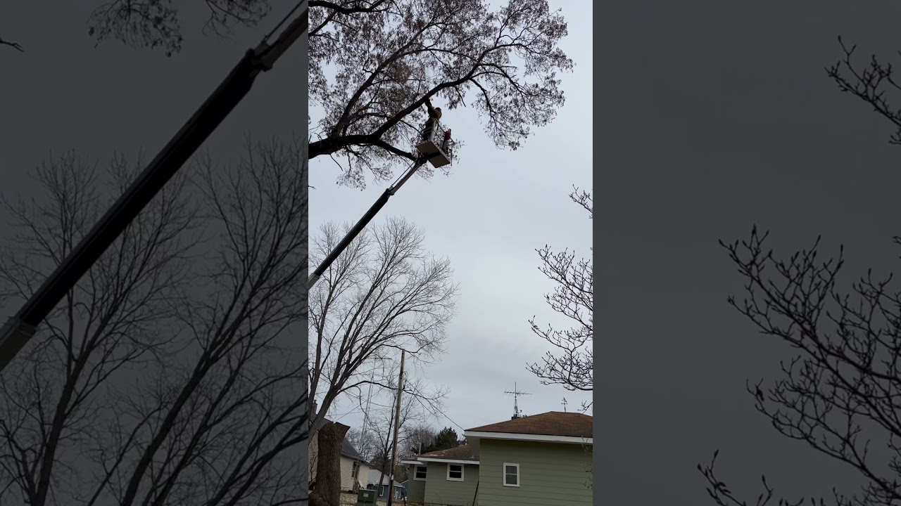 Taylor on a drop cut