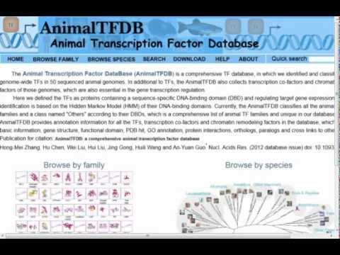 AnimalTFDB for curated transcription factor information