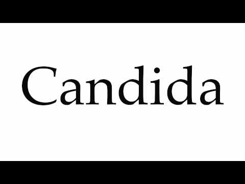 How to Pronounce Candida
