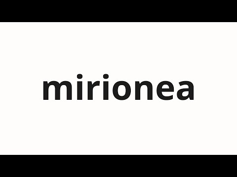 How to pronounce mirionea | ミリオネア (Millionaire in Japanese)