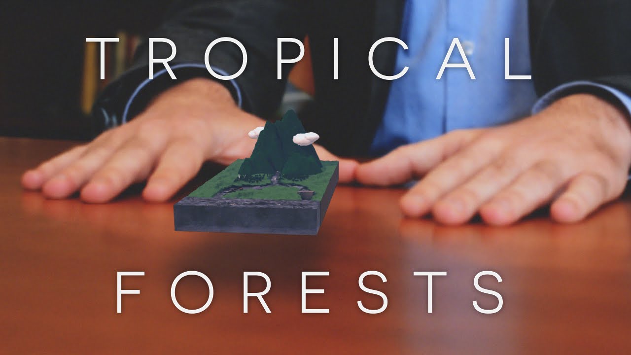 Tropical Forests for Climate and Development
