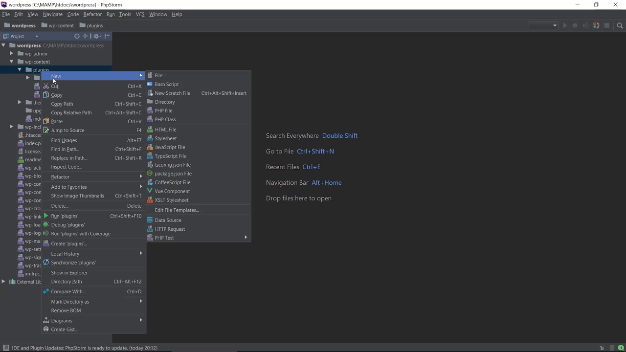 WordPress Plugin Development - 01 - Initial Setup