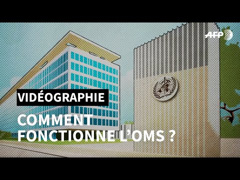 L'Organisation mondiale de la Santé | AFP Animé