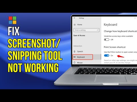 Screenshot Not Working Windows 11 - 5 Fix