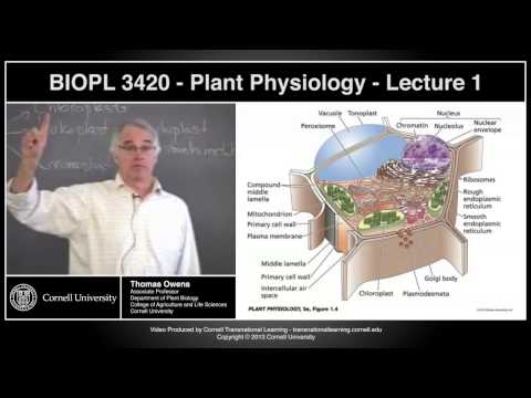 BIOPL3420 - Plant Physiology - Lecture 1