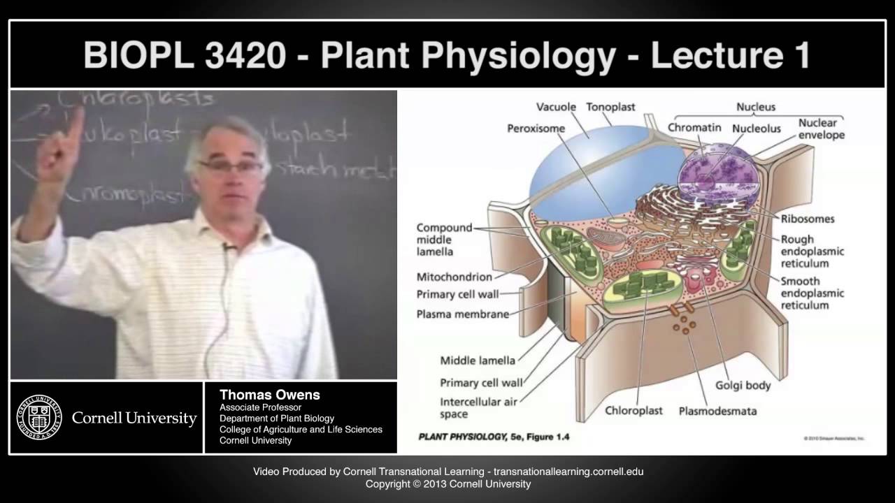 BIOPL3420 - Plant Physiology - Lecture 1