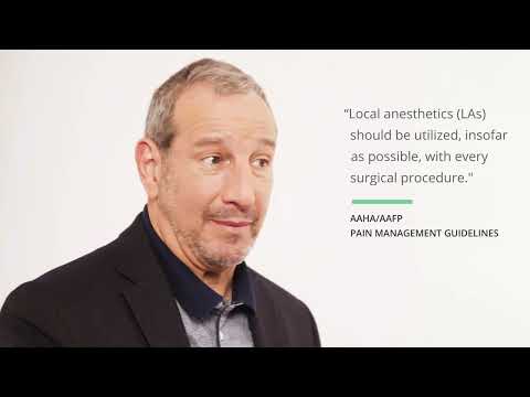 See the Difference with Nocita® (bupivacaine liposome injectable solution) - Pain Expert Dr. Epstein