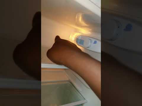 inside a fridge