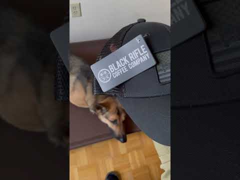 AR-15 Trucker Hat | Black Rifle Coffee Company | Hat Preview | CollectionHat