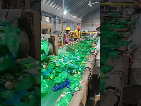 #wastesortingguyofindia #germany #recycle #recycling #flakes #india #waste #plastic #bottlesorting