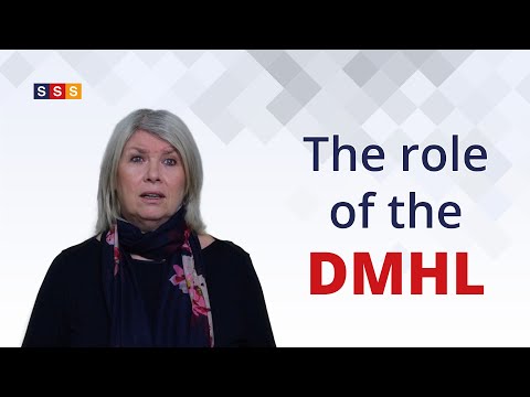 What's the role of the Designated Mental Health Lead in education?