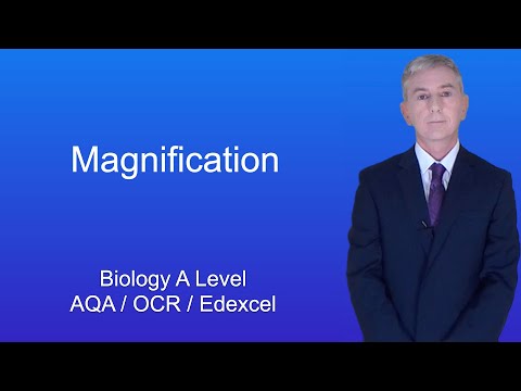 A Level Biology Revision "Magnification"