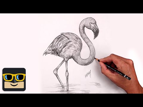 How To Draw a Flamingo | Sketch Tutorial
