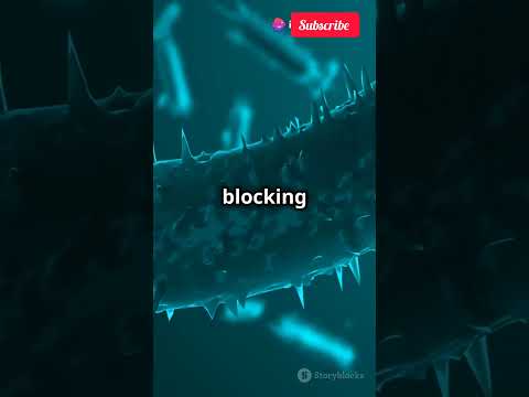 Linezolid antibiotic