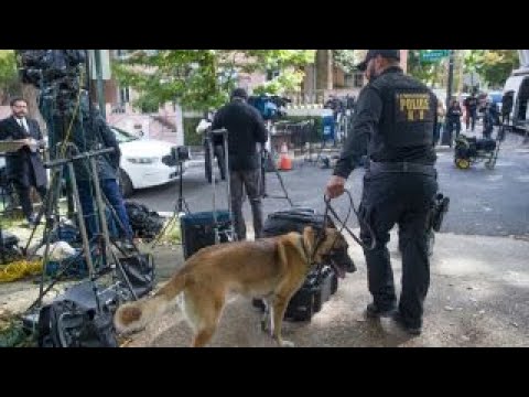 The suspicious packages 'clearly have a political connection': Ed Davis