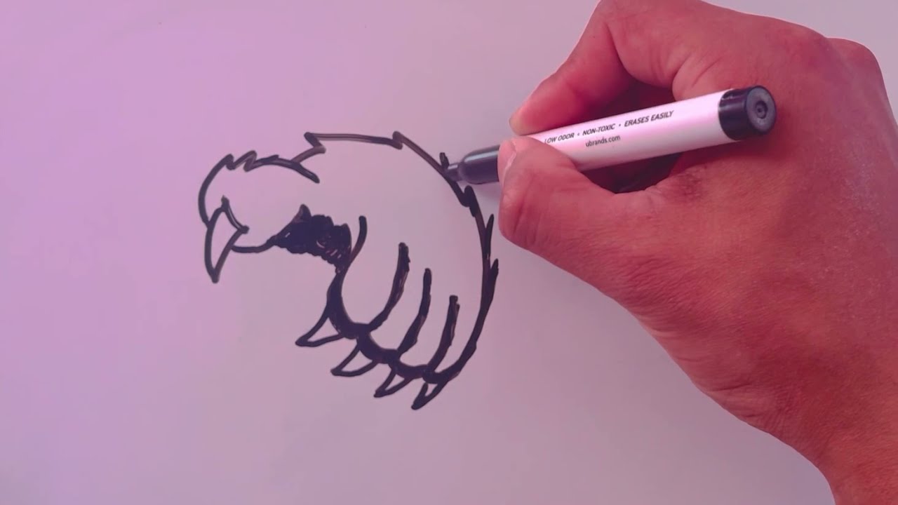 How To Draw A Bear Paw Claw
