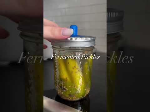 Fermented Pickles Recipe