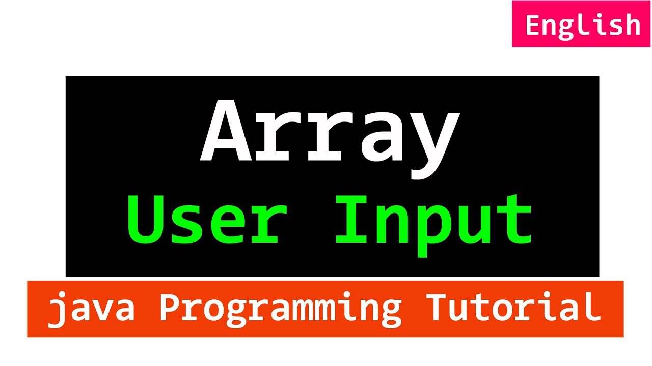 Array User Input using For Loop | Java Programming Tutorial
