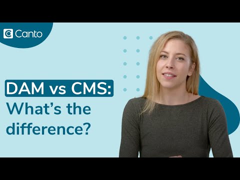 DAM vs CMS: What's the difference?