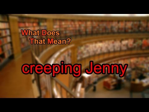 What does creeping Jenny mean?