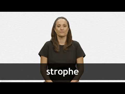 English Translation of “STROPHE” | Collins French-English Dictionary