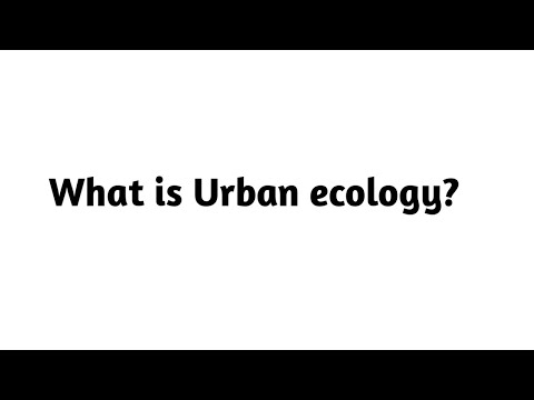 What is Urban ecology ?