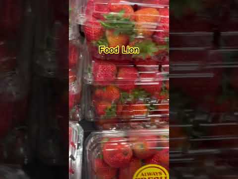 Food Lion Sale this Week