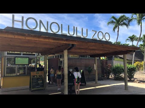 Honolulu Zoo Animals | Oahu, Hawaii | Exploring The Honolulu Zoo in Waikiki!