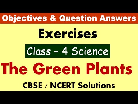 The Green Plants | Class:4 Science | Exercises and Question Answers ...