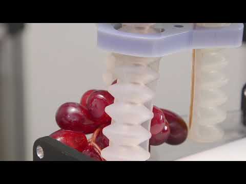 Hank: A Dexterous Robot for Warehouse Automation