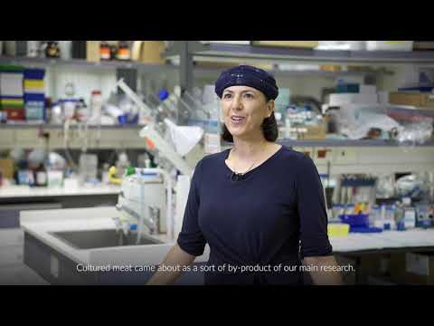 Tissue engineering: A way to cure medical conditions AND rethink today's food system