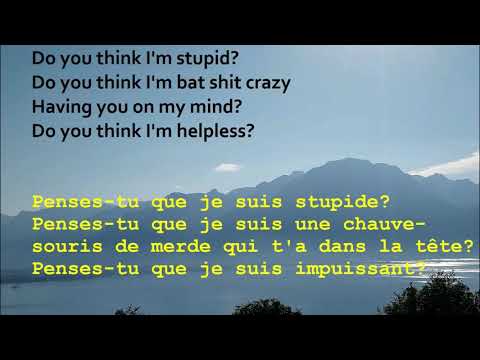 LSD et Sia Genius Traduction Française